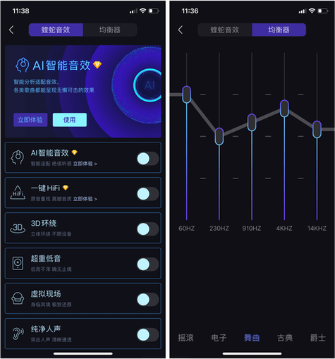蝰蛇音效车机版截图
