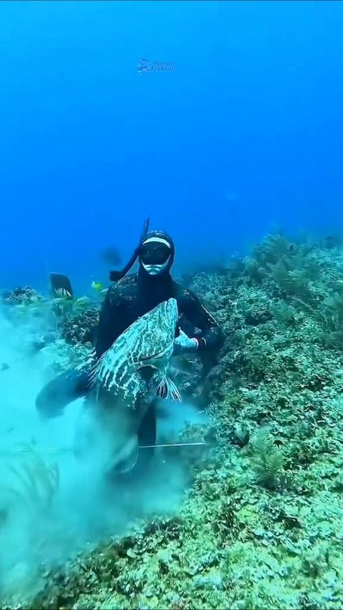 海底捕鱼图标