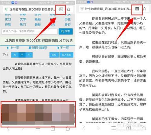 小说网站去广告图标