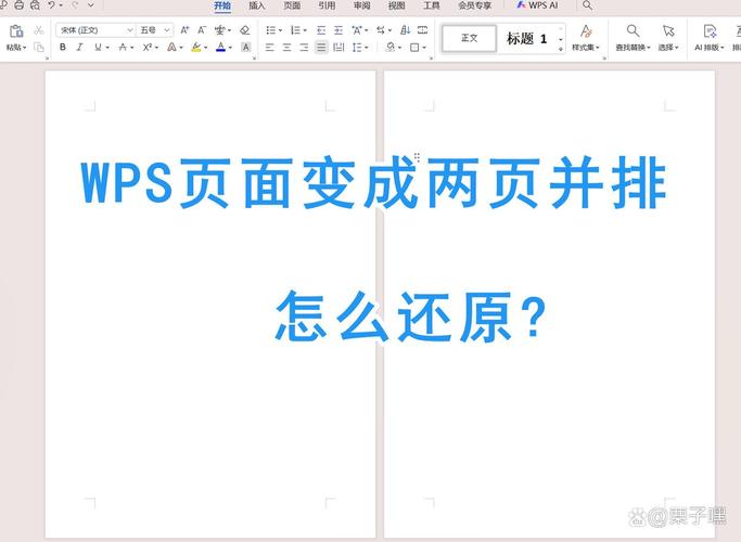 wps文档变成左右两页图标
