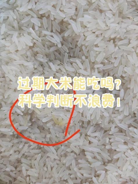 大米能存放多久