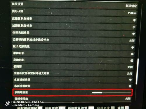 荒野大镖客2 1050ti设置截图