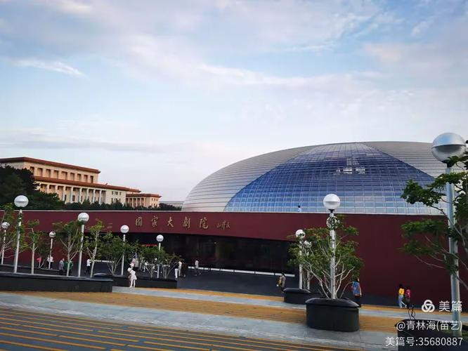深圳市芳华传媒文化有限公司图标