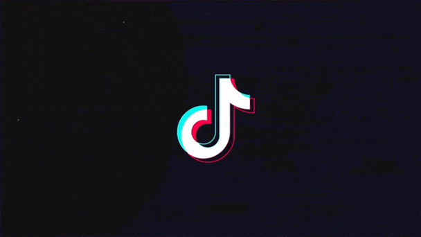 抖音旧版本大全2019有动态的图标