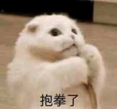 告辞表情包 抱拳图标