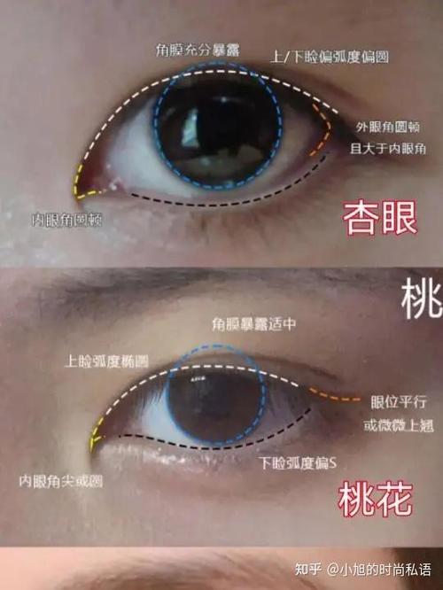 桃花眼好看还是杏眼好看图标