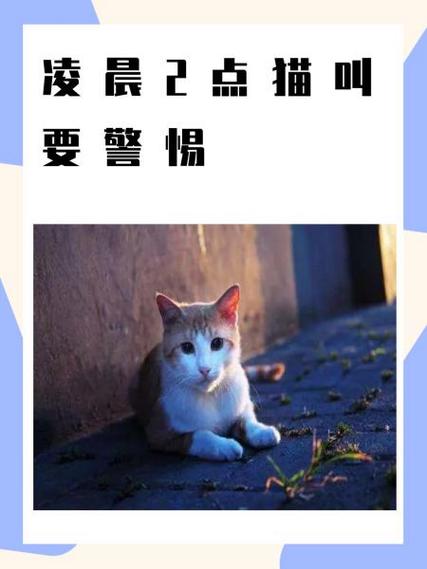 猫晚上频繁叫唤要警惕图标
