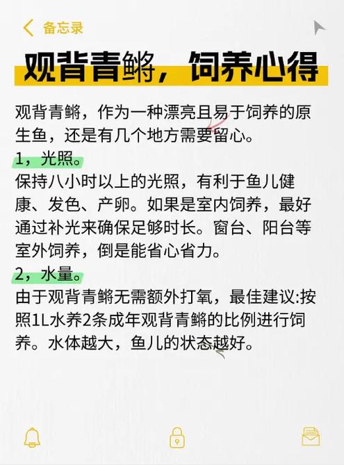 养鱼新手需要注意什么图标