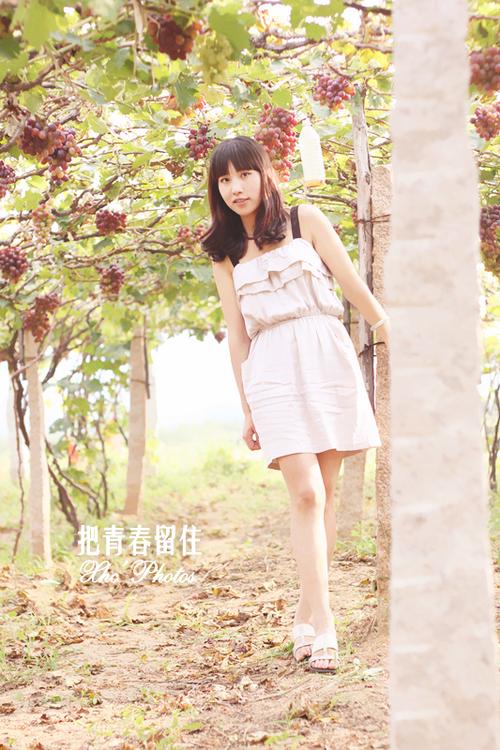 我的校花未婚妻何晓叶图标