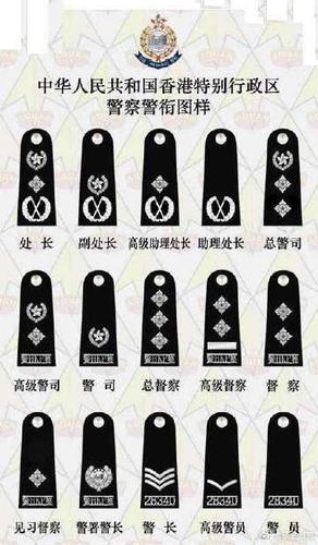 特警等级一览表图标