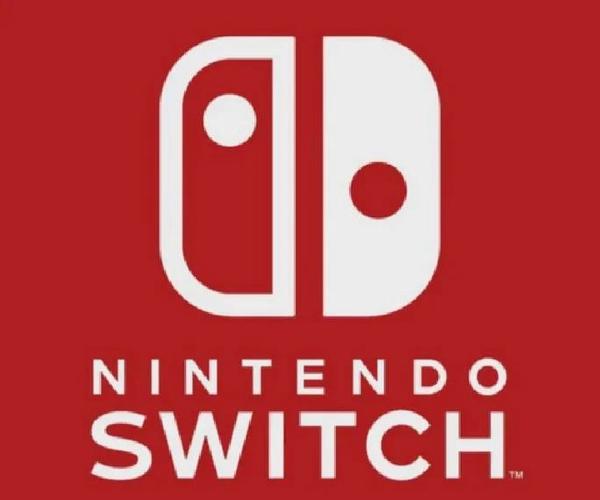 switch日服和美服哪个好图标