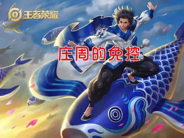 庄周属于软辅还是硬辅图标