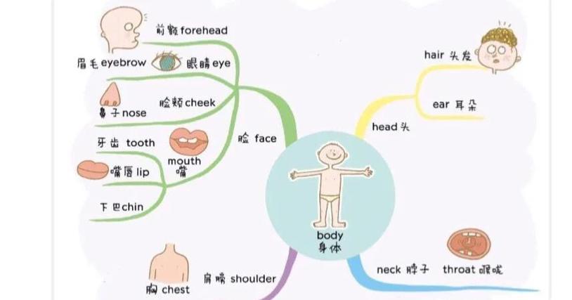 work your body翻译截图