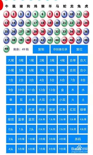 49码挑码助手图标