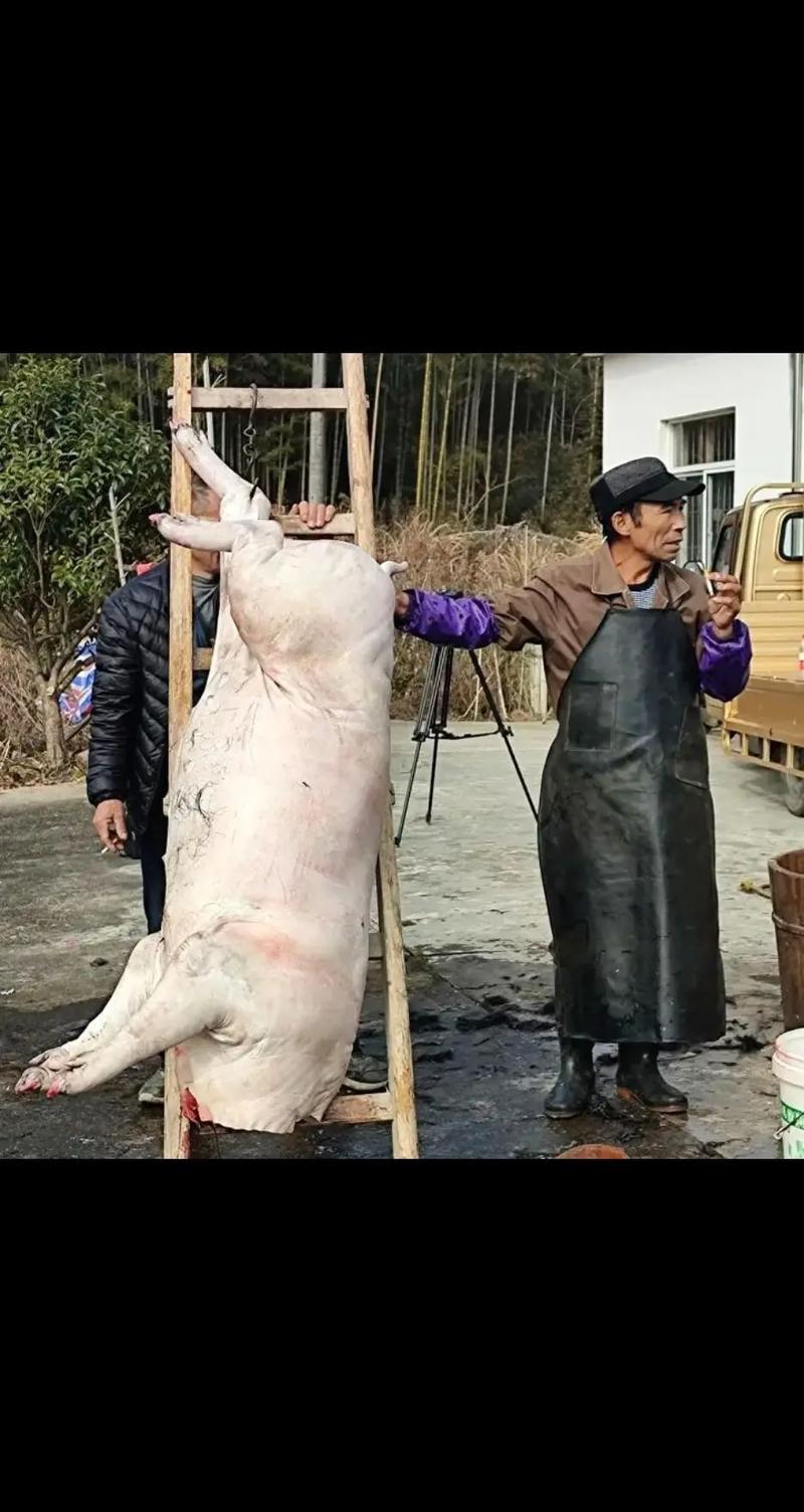 屠夫的疯狂无敌版下载安装截图