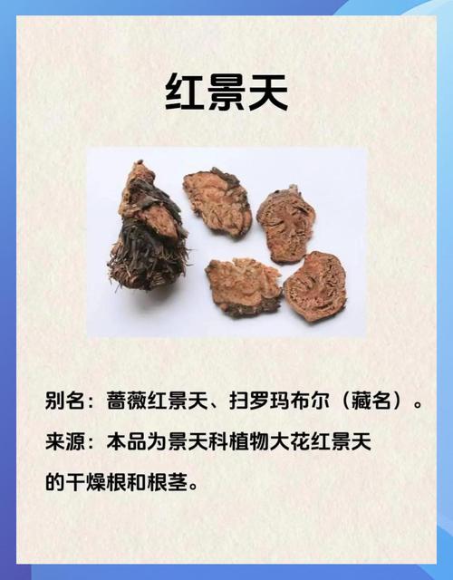 红景天的药用价值图标