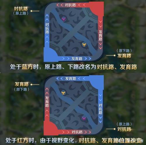 王者荣耀对抗路发育路分别在哪里