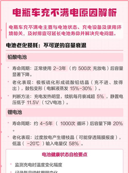 电瓶充电一直充不满什么原因图标