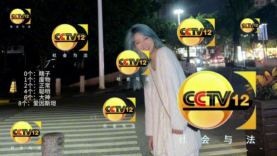 cctv12广告2005图标