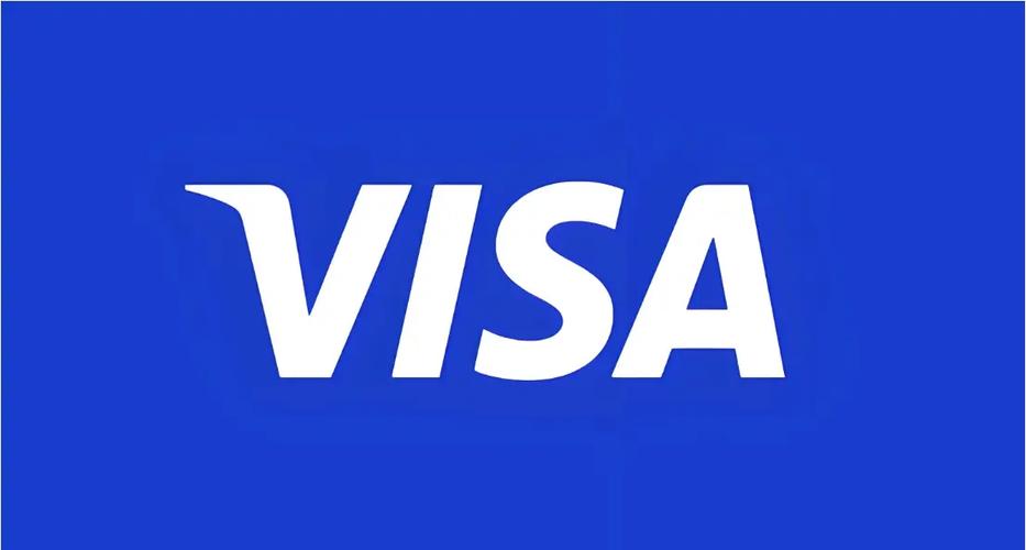 visa在中国的机构