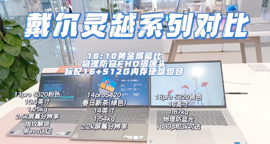dell灵越5000图标