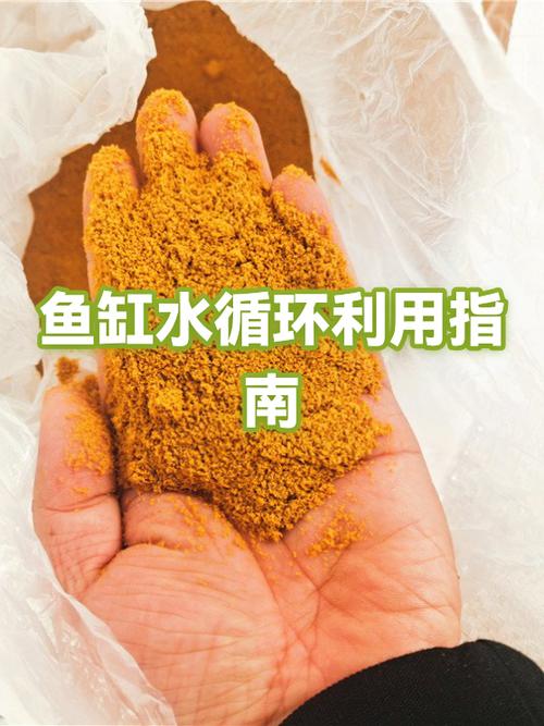 鱼缸晚上关掉水循环可以吗截图