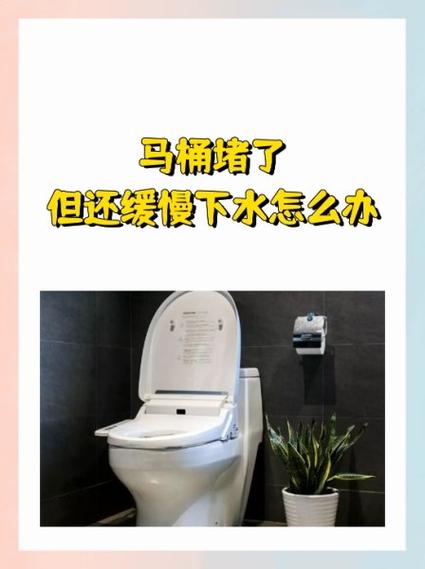 马桶冲水下水慢什么原因图标