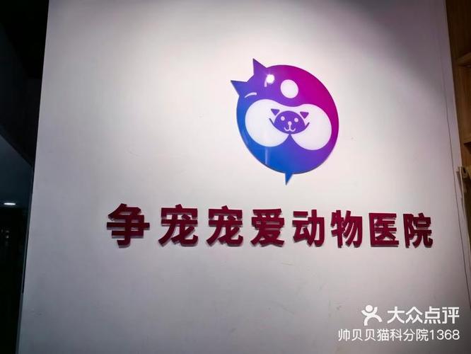 贝贝猫是什么意思图标