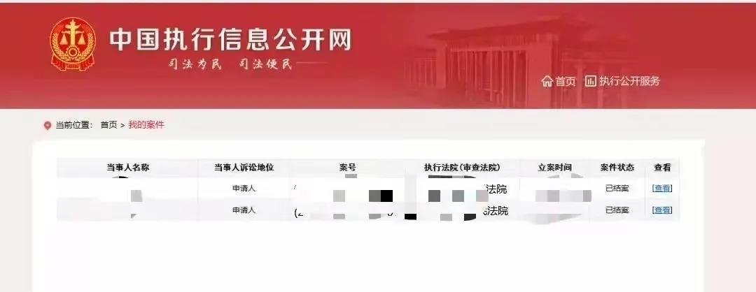 有执行案号怎么查明细图标