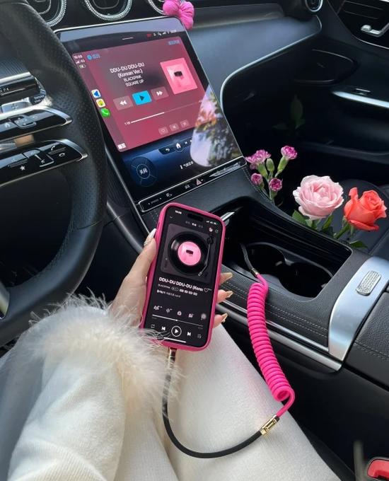 苹果carplay怎么打开图标