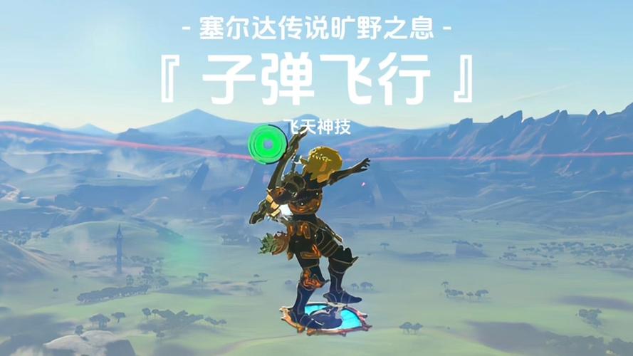 塞尔达传说飞天术截图