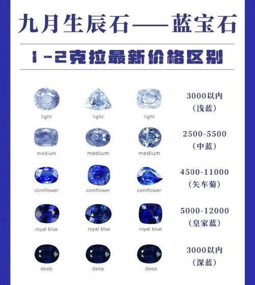 蓝晶社的蓝晶一个多少钱图标