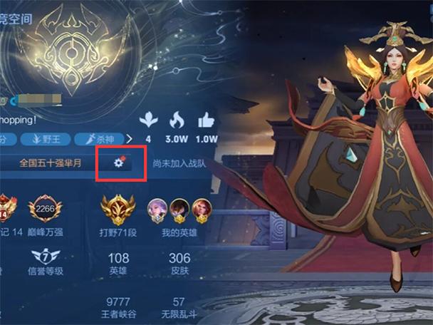 王者标识怎么不显示
