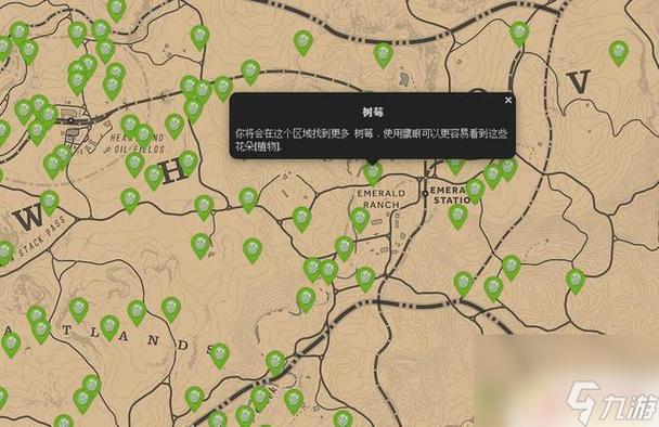 荒野大嫖客2树莓图标