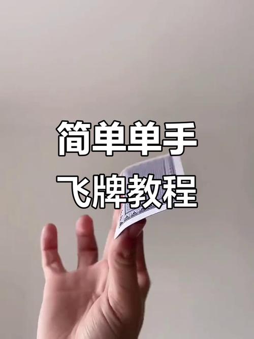 飞牌手法教学截图