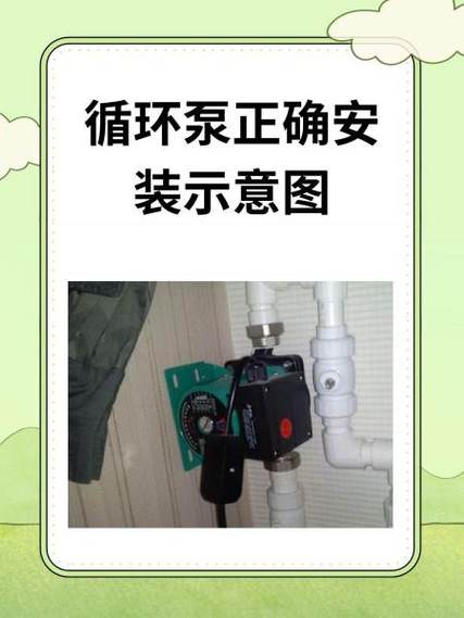 安装循环泵截图