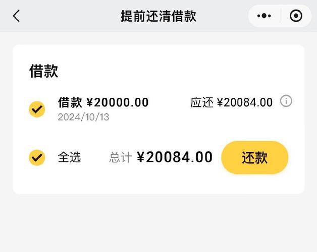 微粒贷全部还清了能接着借吗图标