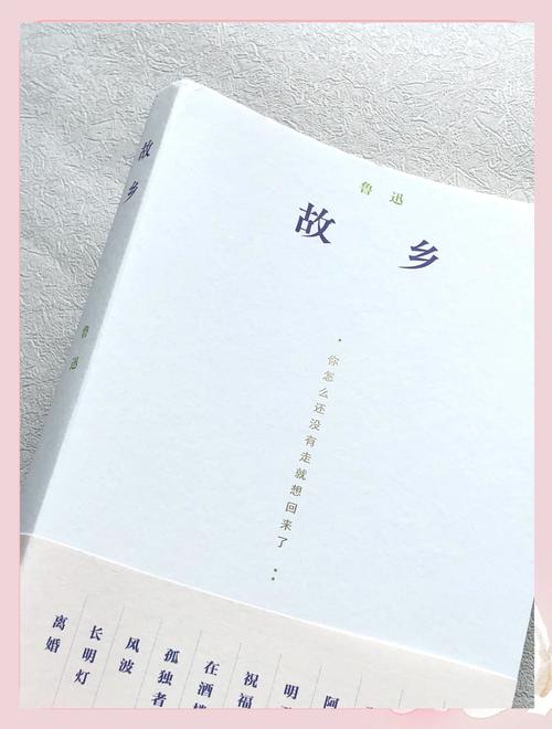 永远的迷妹永远的经典故乡图标