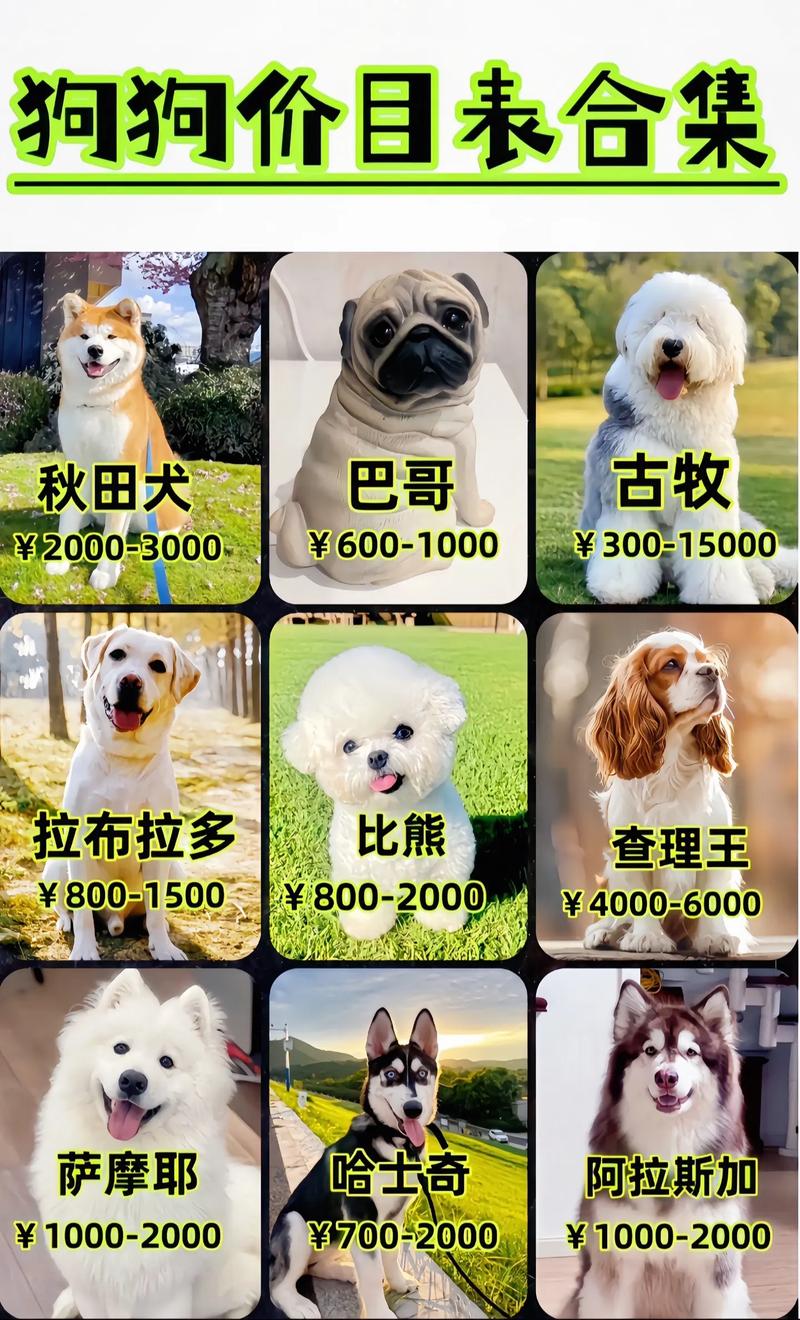 呆萌价靠谱吗