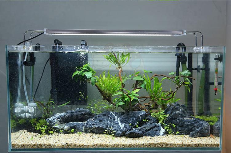 森森鱼缸过滤器安装视频