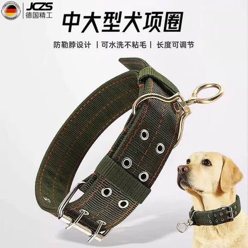 狗绳牵引绳和脖套图标