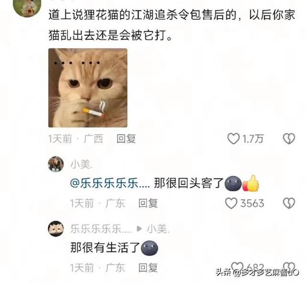 猫咪段子图标