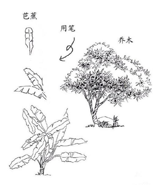 钢笔画基础入门教程