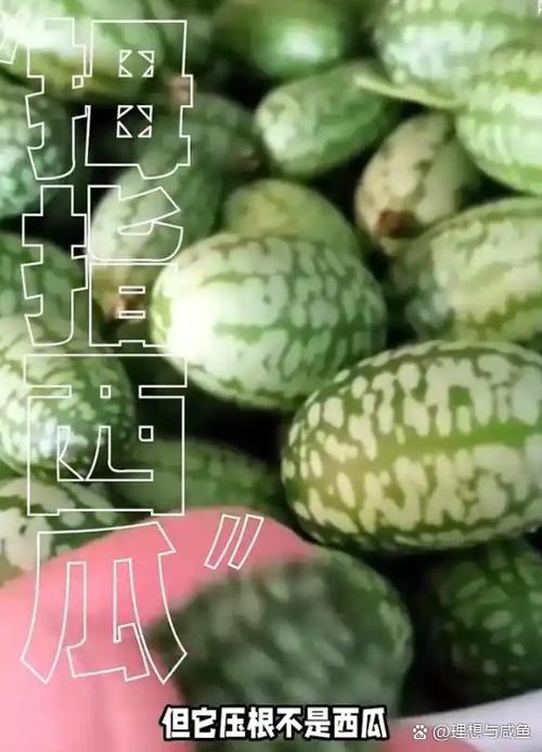 别人说你网红是什么意思图标