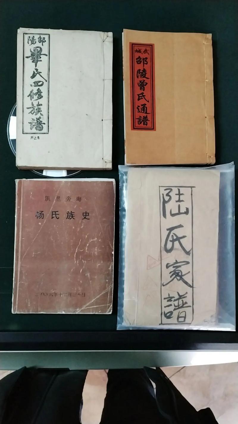 贵州邰氏字辈截图