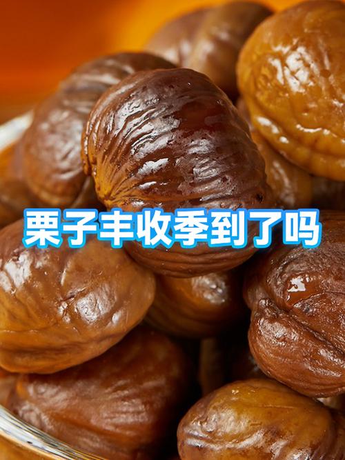 栗子bbb截图