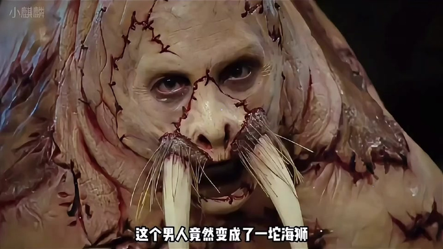 海狮影评图标