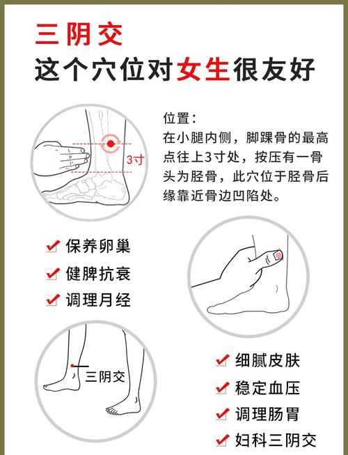 女人坐地虎是什么意思图标