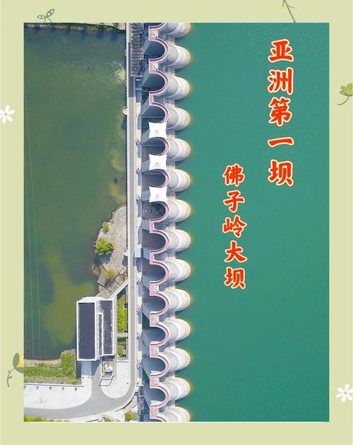 绿坝的寓意图标