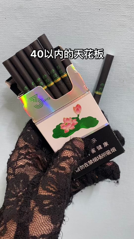 黑中支荷花40和100图标